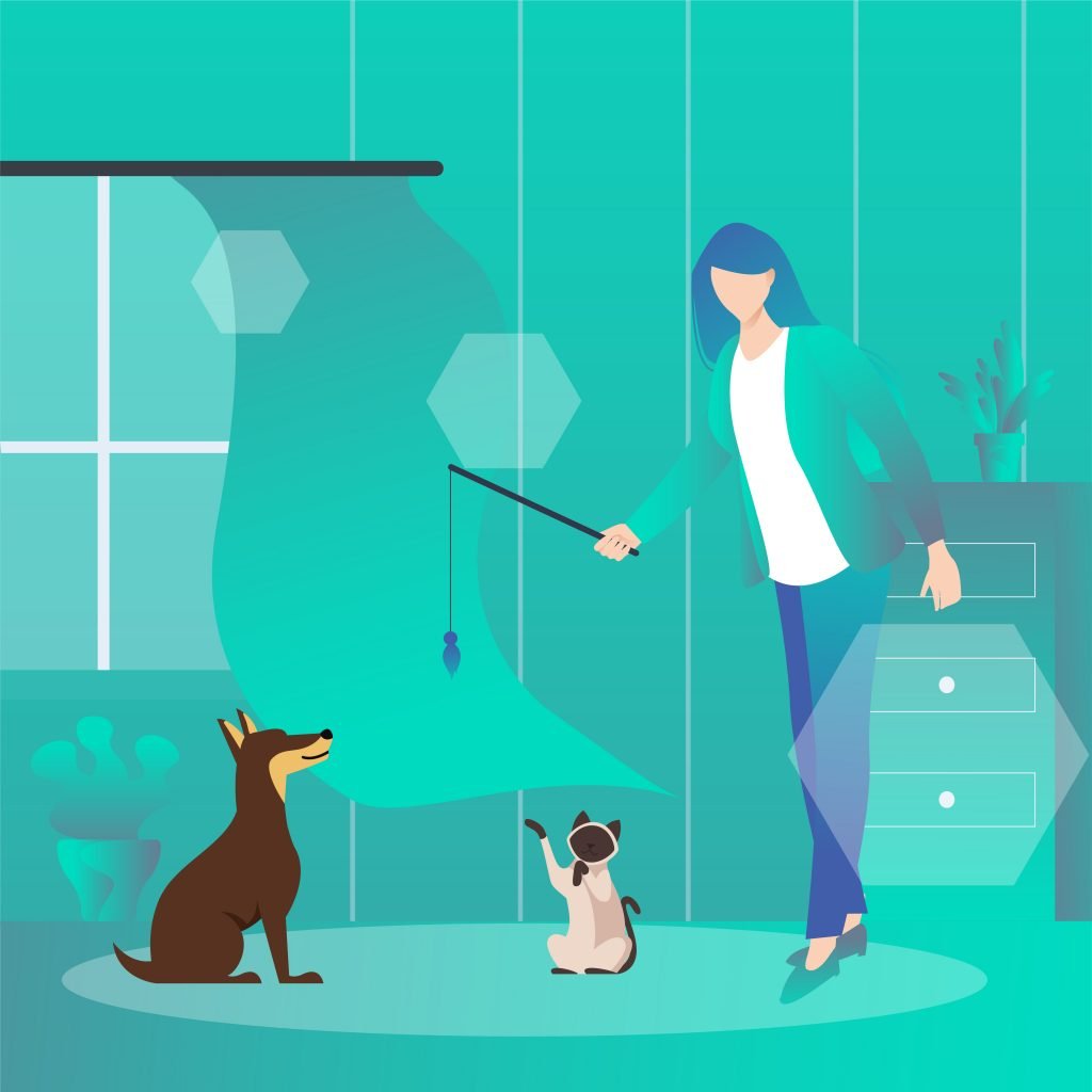 chicago-dog-walking-and-pet-sitting-rates-urban-tailz