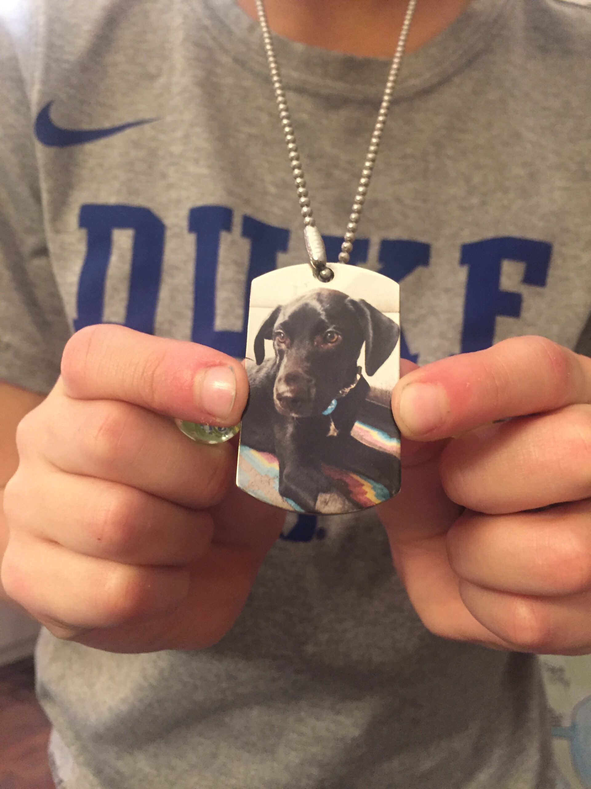 December Pet of the Month: Ace - Urban Tailz: Chicago's Dog Walkers